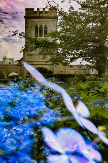 Revelation in June: PEACE IN TIME